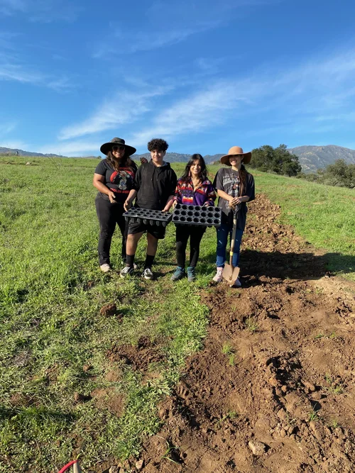 Ethnobotanical Chumash Garden — Channel Islands Restoration