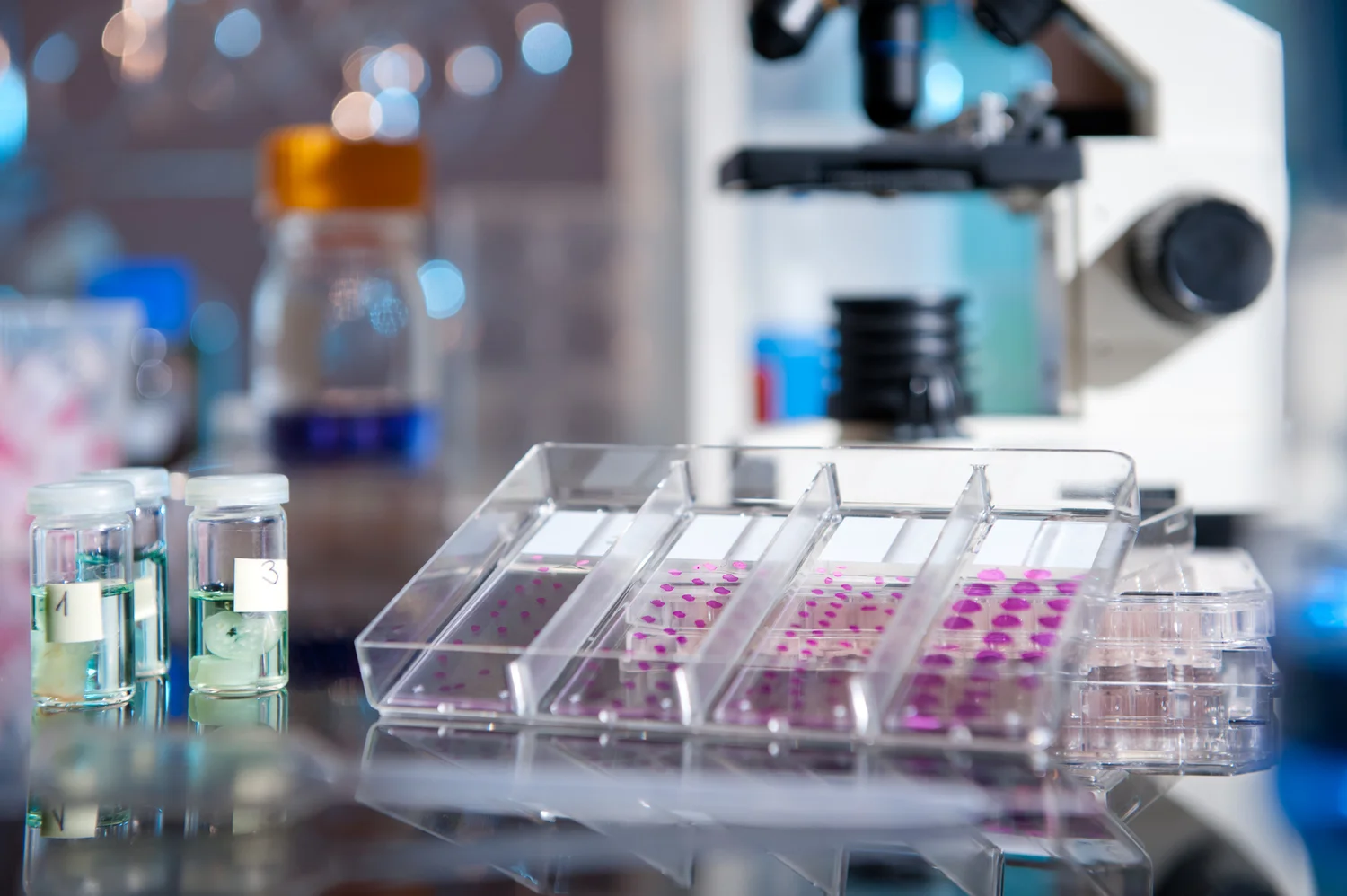 FFPE Vs Frozen Samples: Human Clinical Samples