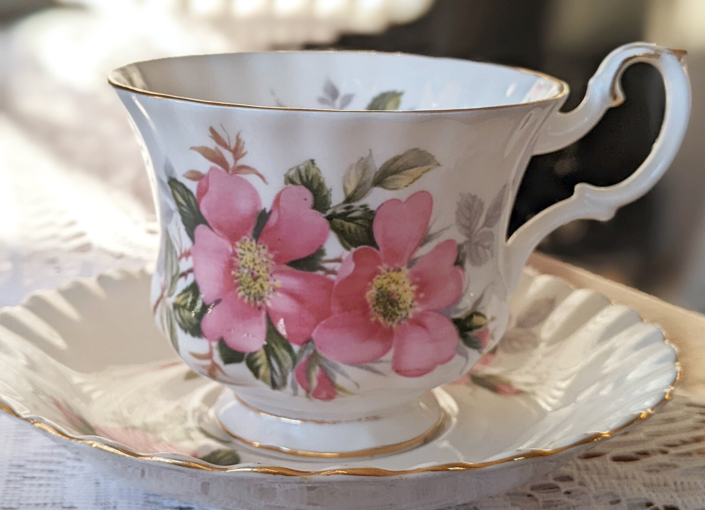 Drink & Barware Queens Prairie Rose tea cup and saucer one pink wild ...