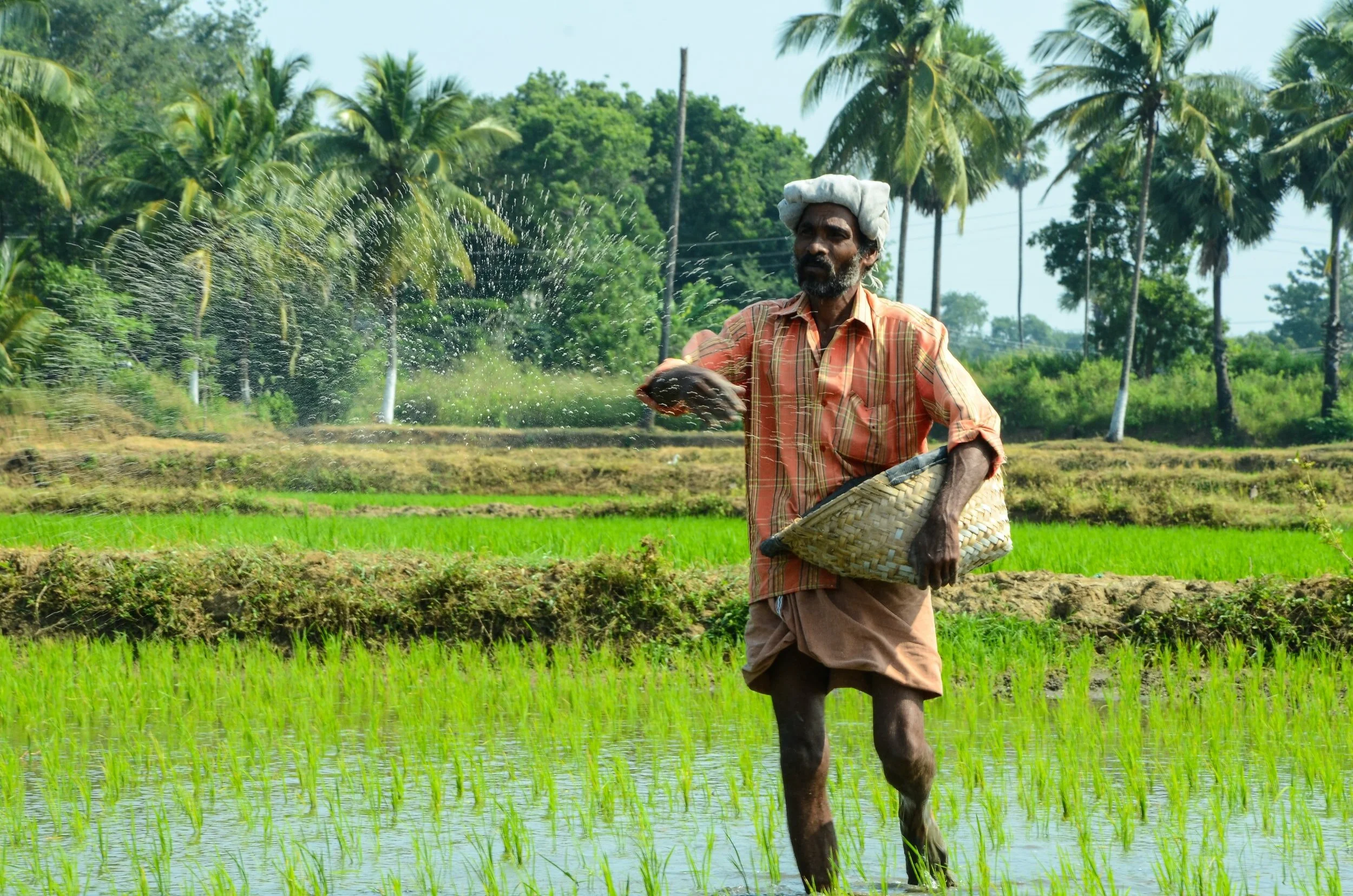 The Future Of Food Under Climate Change The National Institute Of The Future Of Food Under Climate Change The National Institute Of