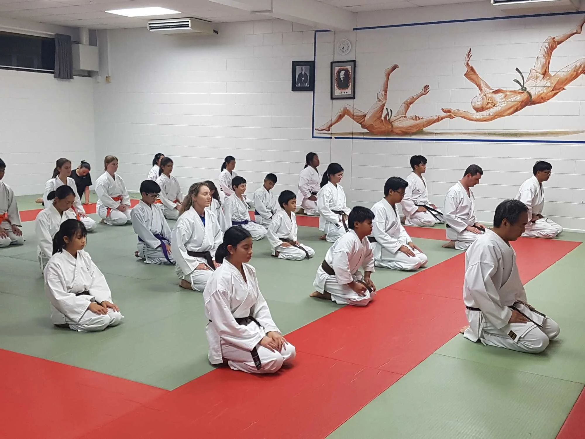 Galleries — KDA New Zealand