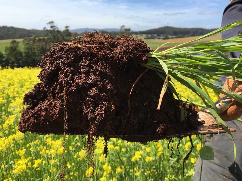 Soil First Tasmania