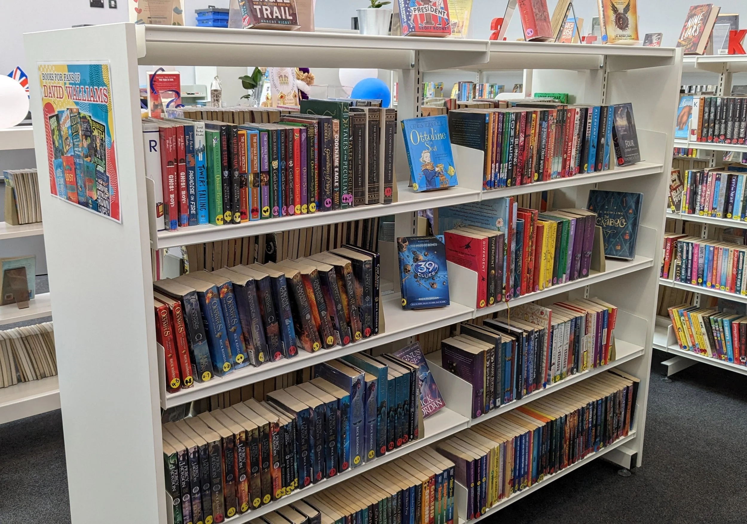 Library Shelving — Moduflex Ltd.