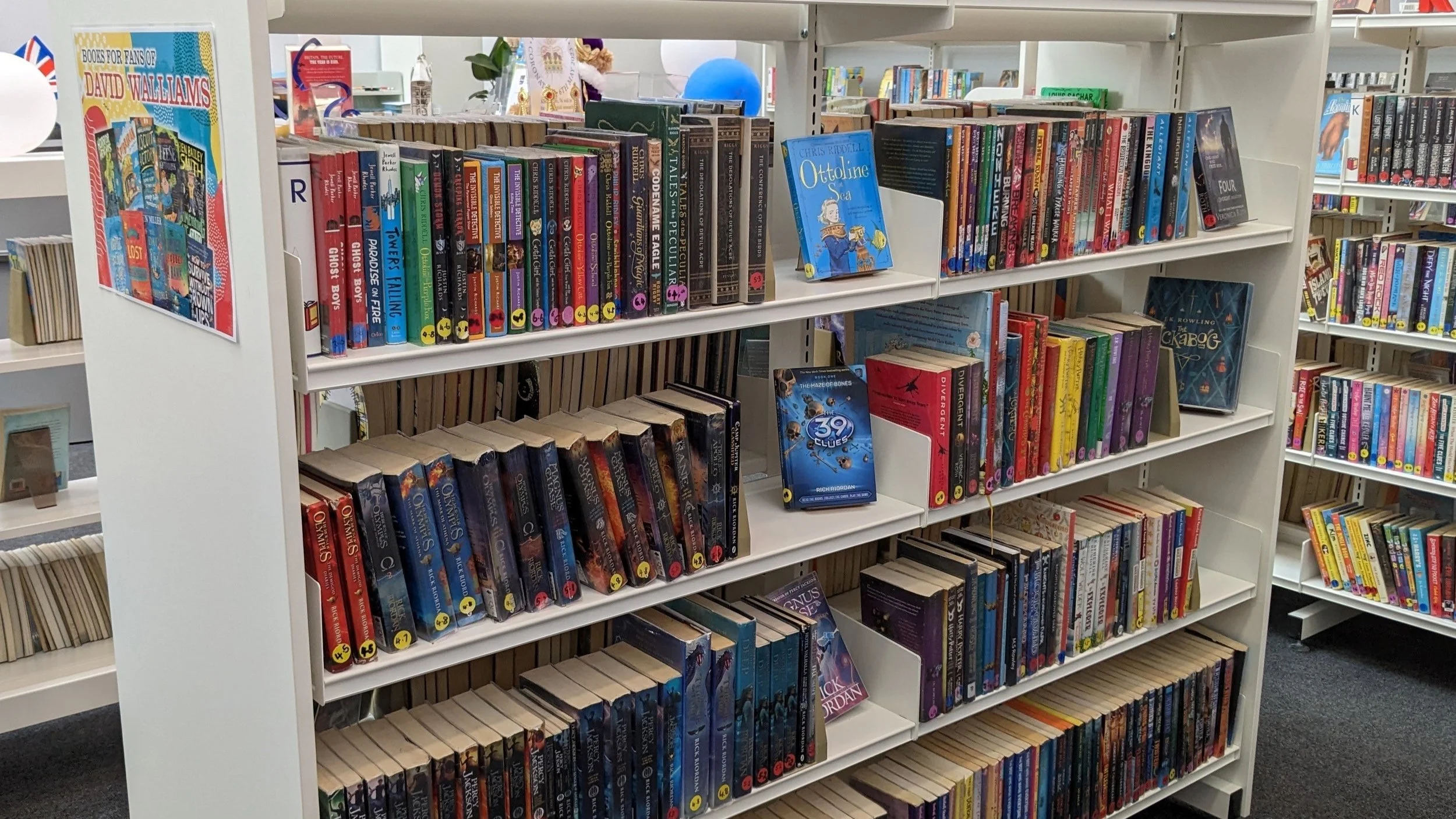 Top Library Shelving Solutions for Institutions — Moduflex Ltd.