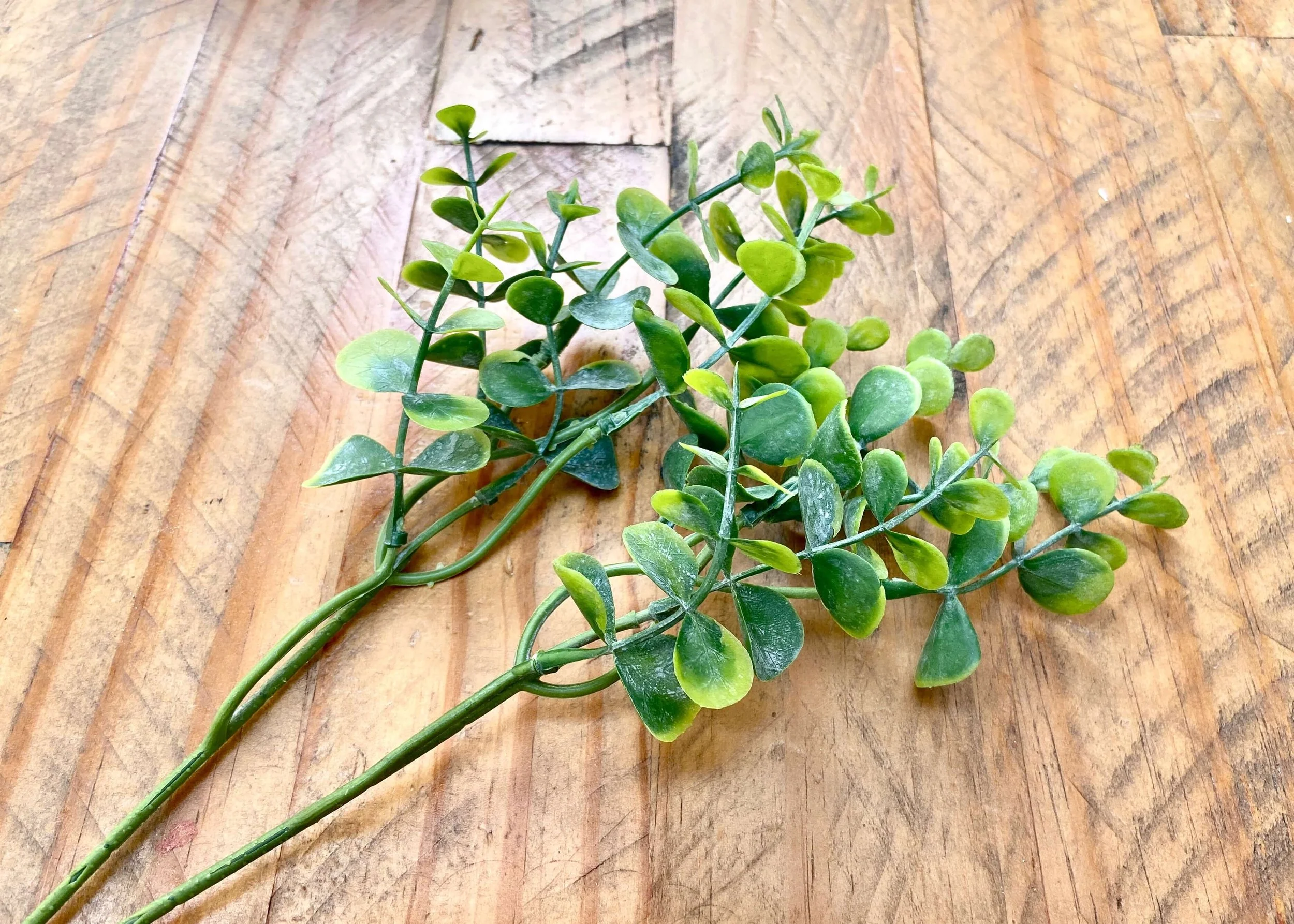 How to Paint Artificial Foliage — ISOSCELLA