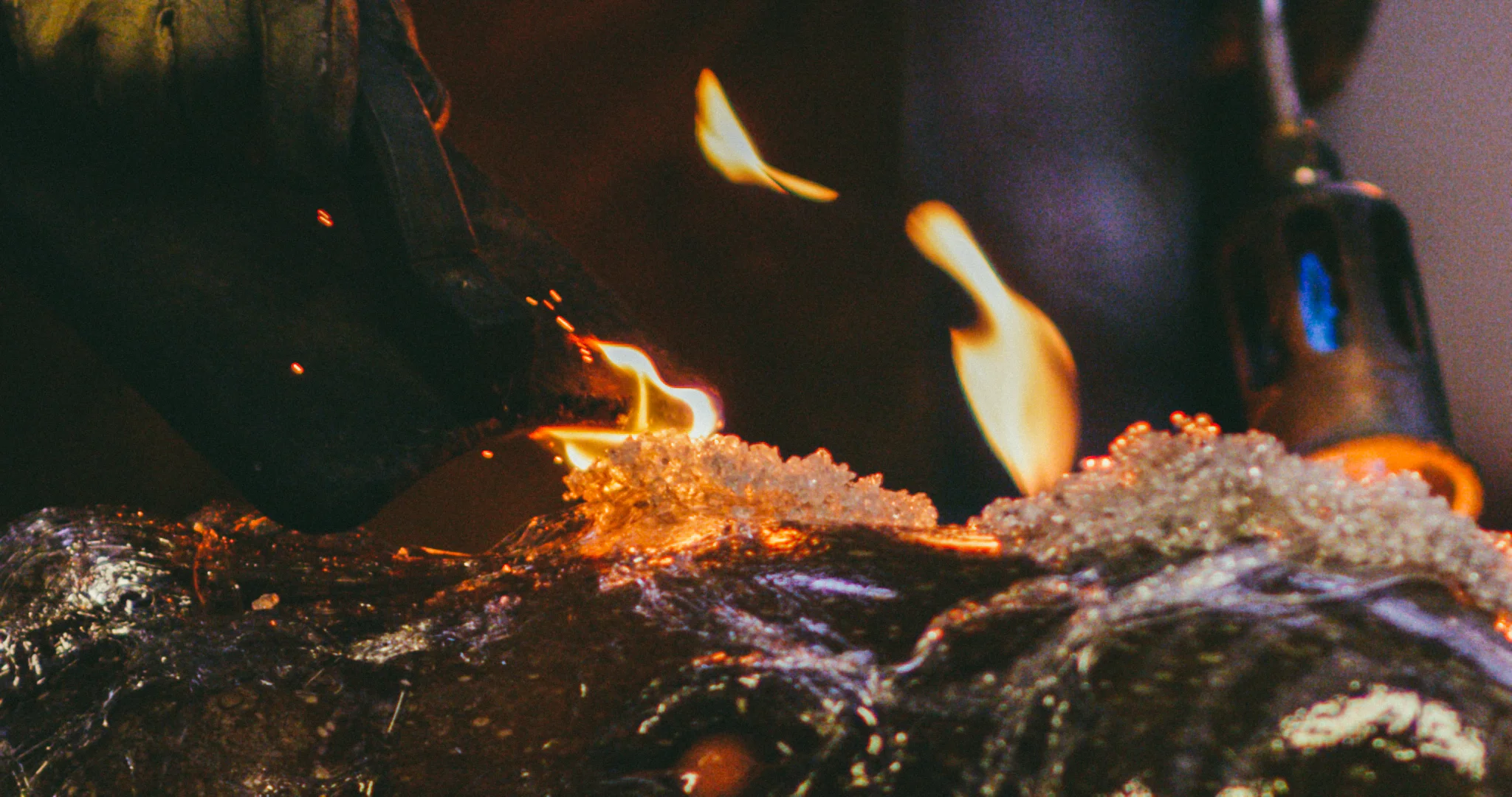 Arboria — Matsuno Media