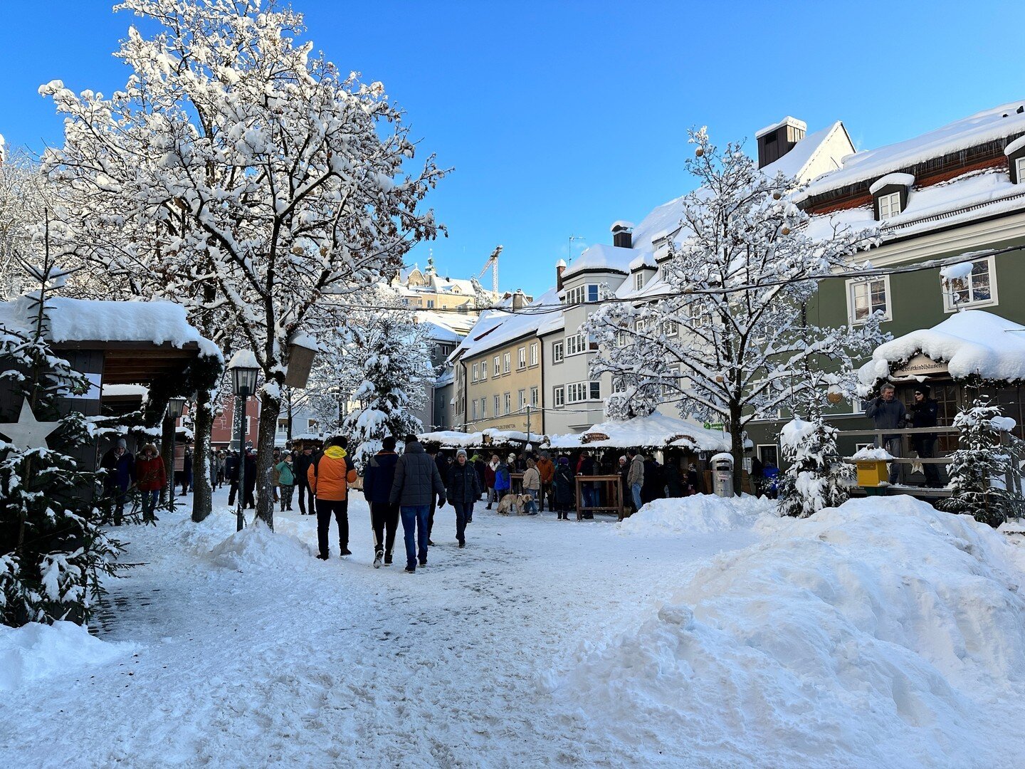 Salmon Steaks in Chraimeh Sauce (Yotam Ottolenghi Recipe) — JACKIE'S LIFE