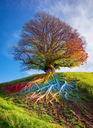 Fall Series - Our Family Tree - Bethel UCC