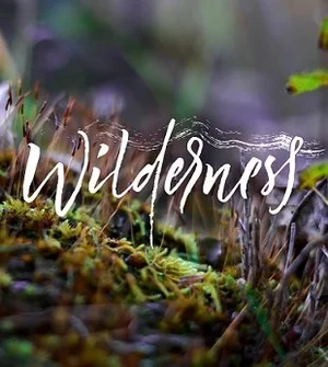 Lenten Worship Series - Wilderness - Bethel UCC