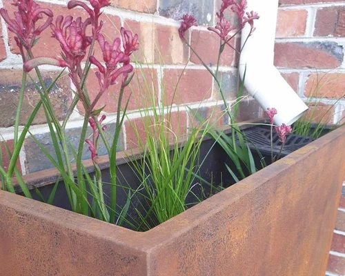 Planter Boxes for Stormwater Treatment Targets | Wave Consulting