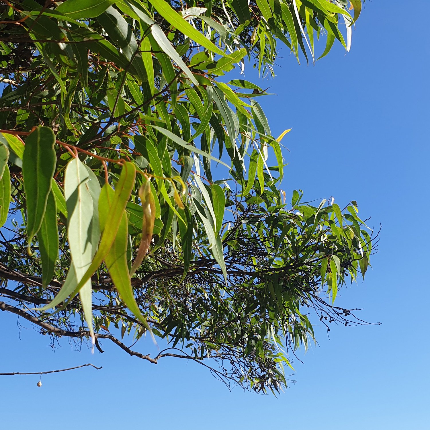 Wave Consulting | Experts in Water & Renewable Energy Design Solutions