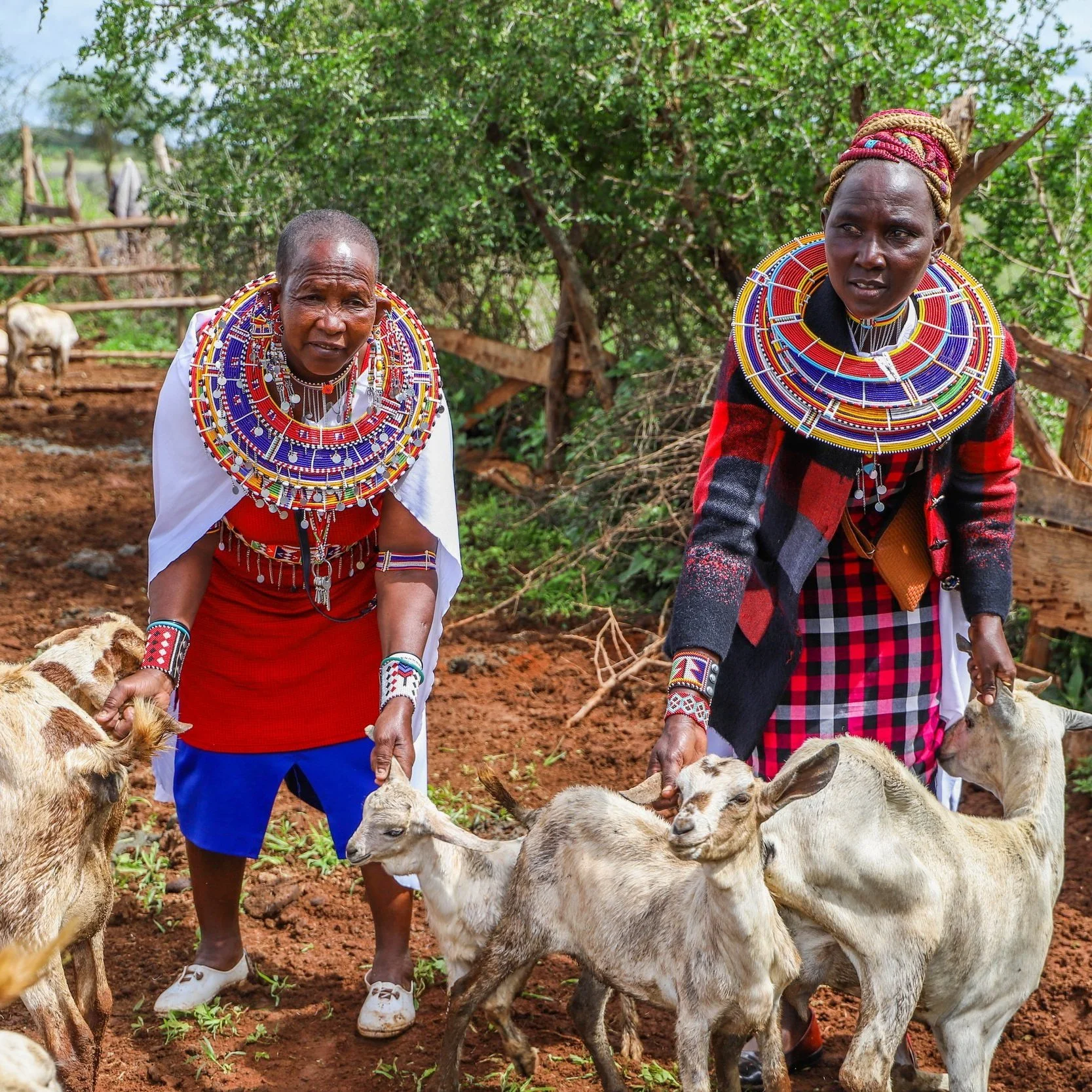 Donate — Just Peoples