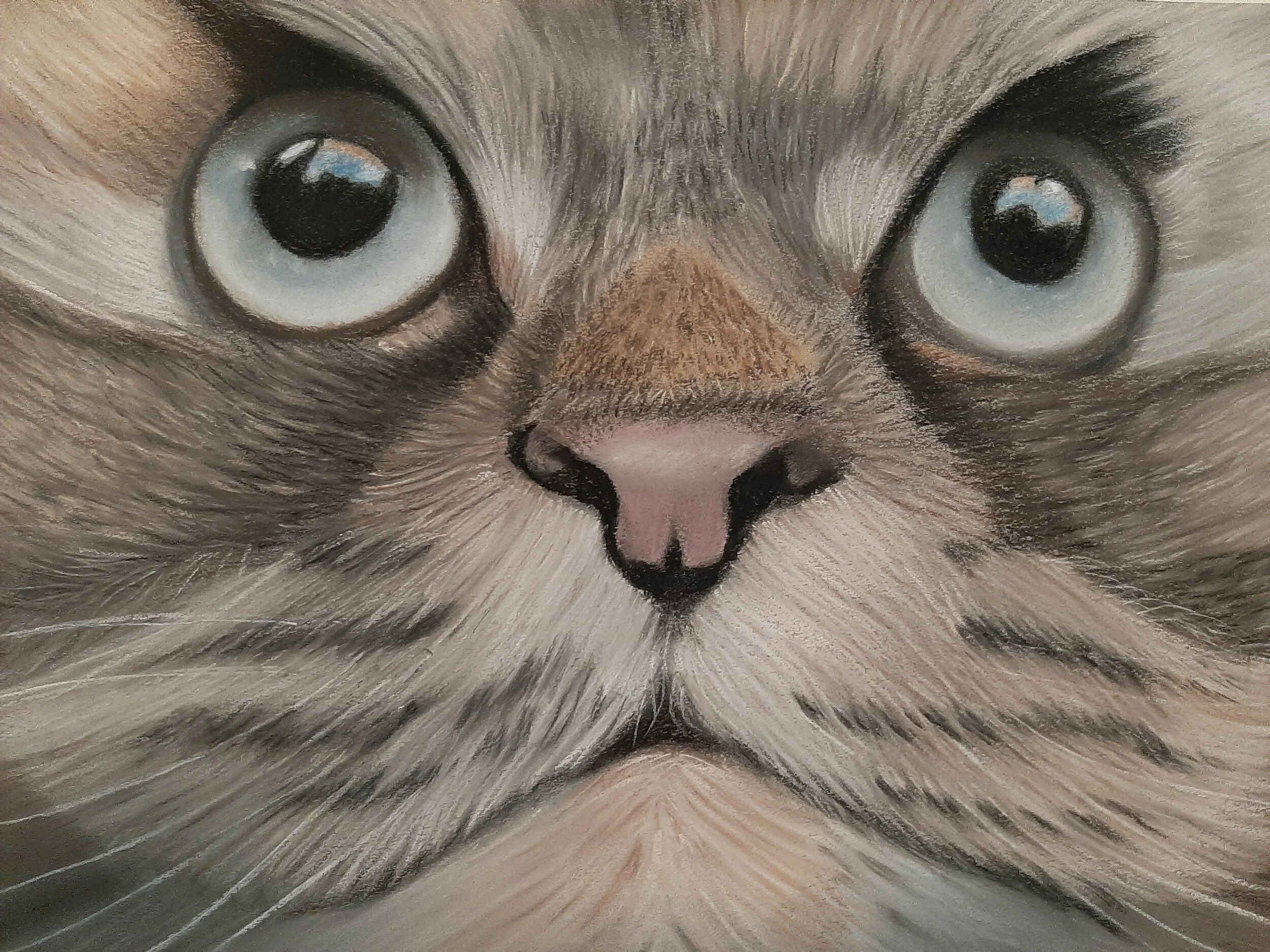 Angela Cat Eyes