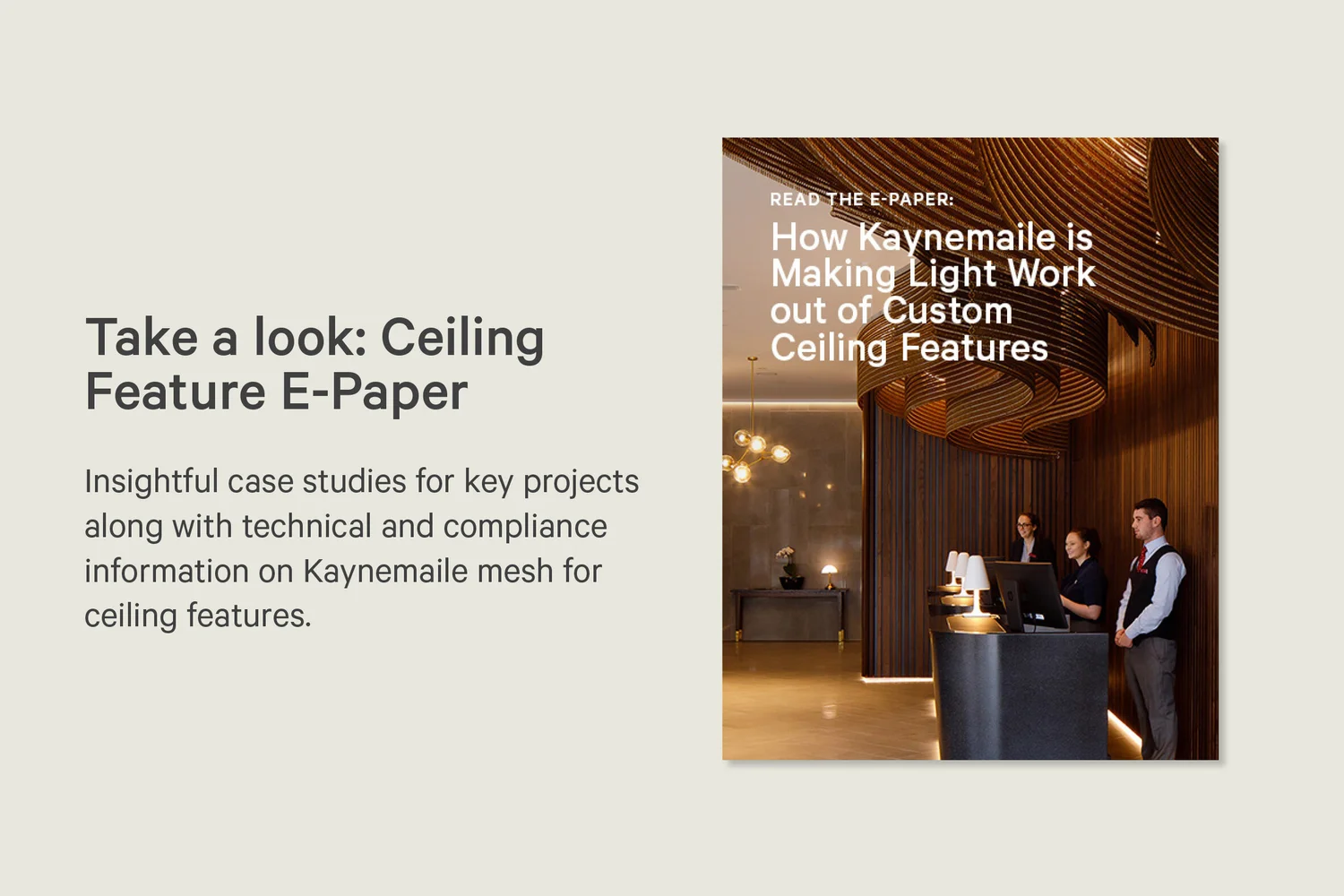 Architectural Ceiling Features — Kaynemaile Architectural Mesh