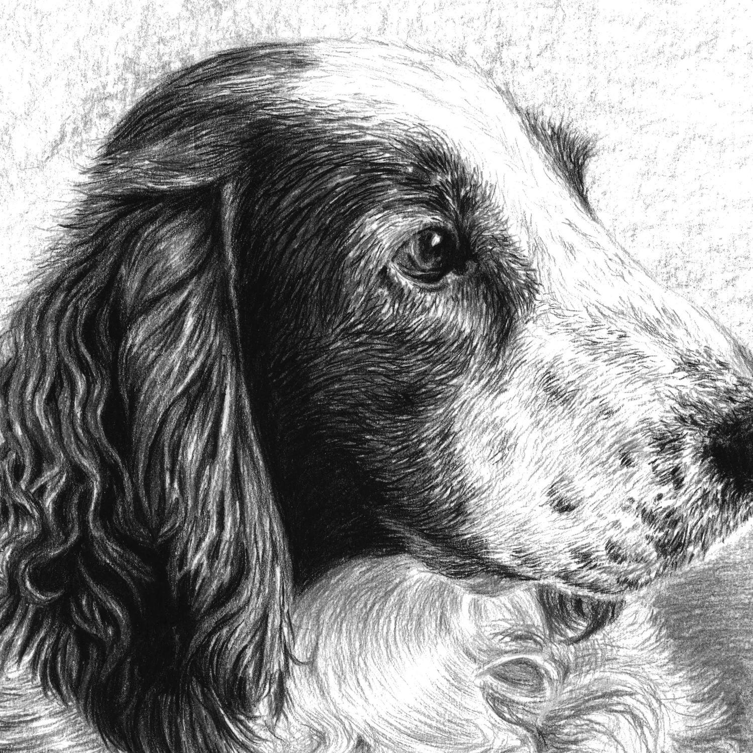 Georgette Thompson Art