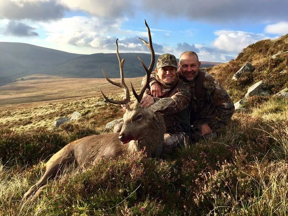 Sika Stag Ireland