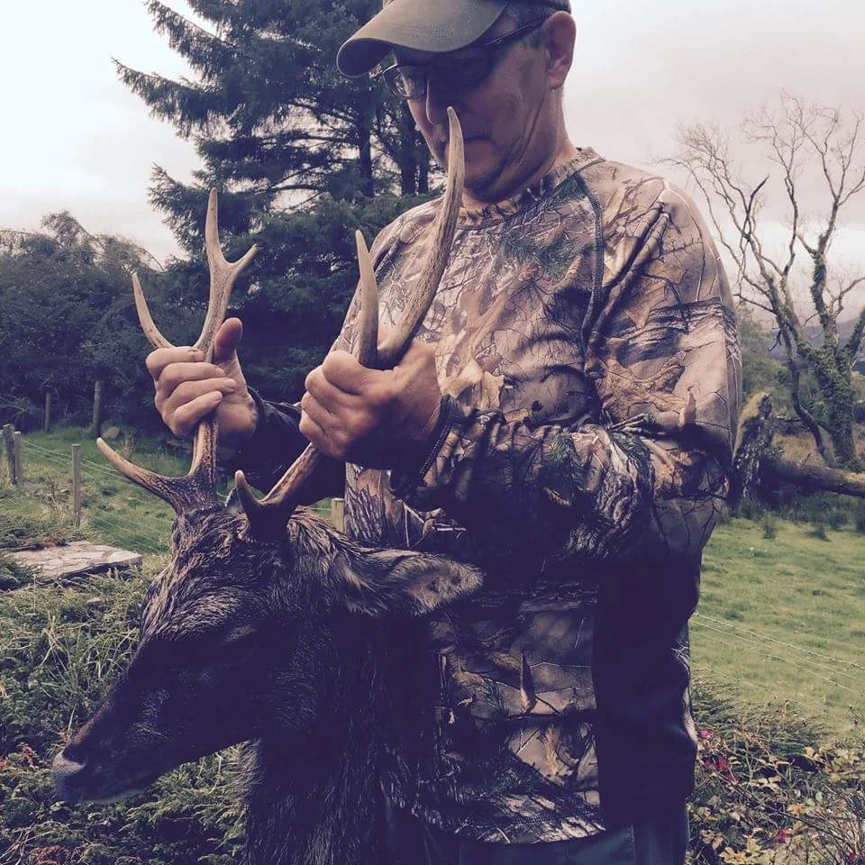 Sika Stag Ireland