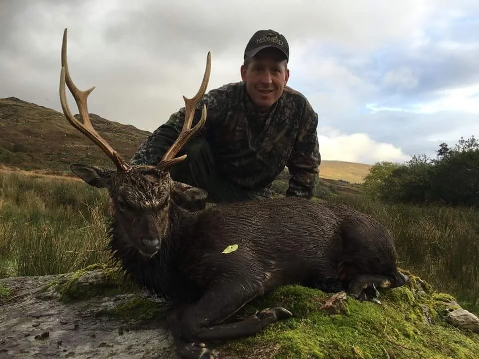Sika Stag Ireland