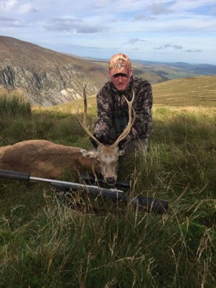 Sika Stag Hunting Ireland