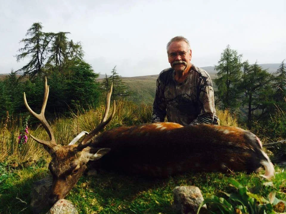 Sika Stag Hunting Ireland