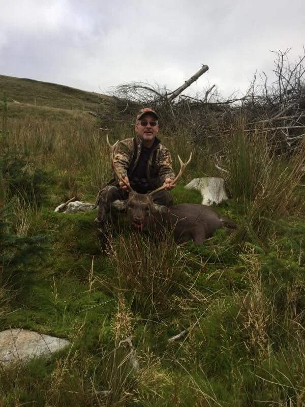 Sika Stag Hunting Ireland