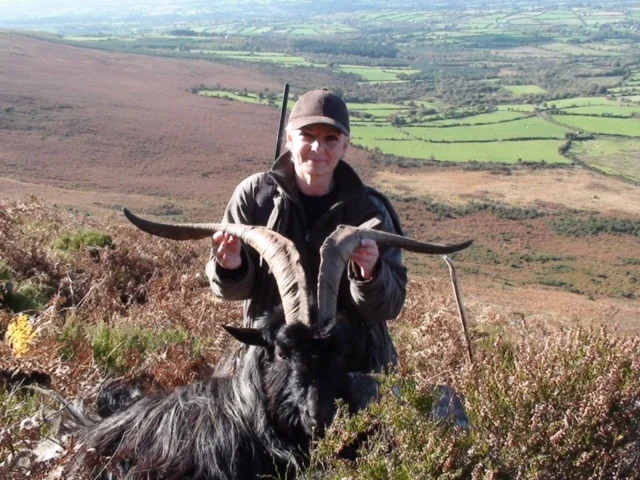 Ibex