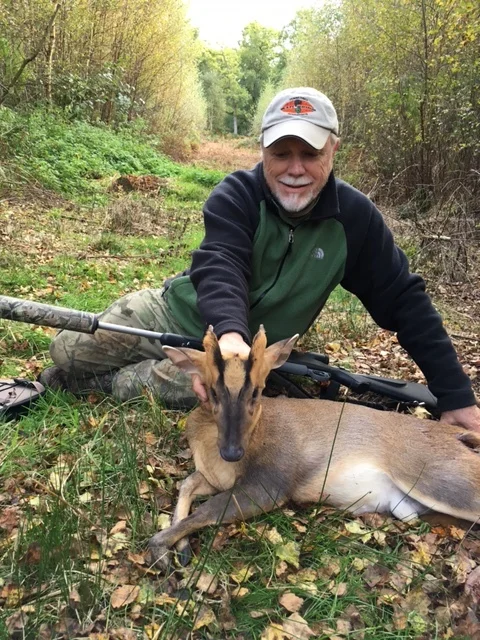 Roe / Muntjac Deer / Chinese Water Deer