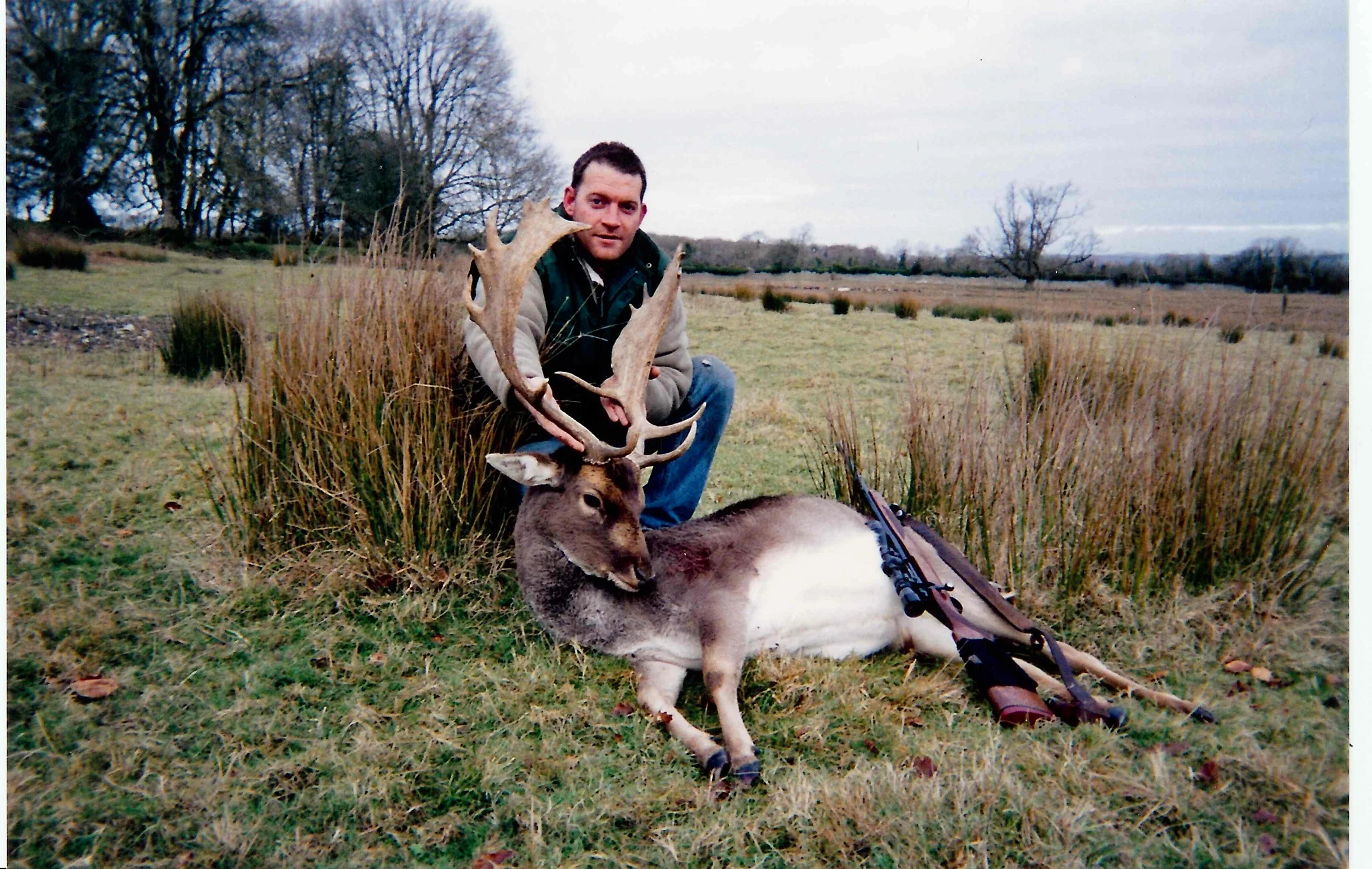 Fallow Stags Ireland