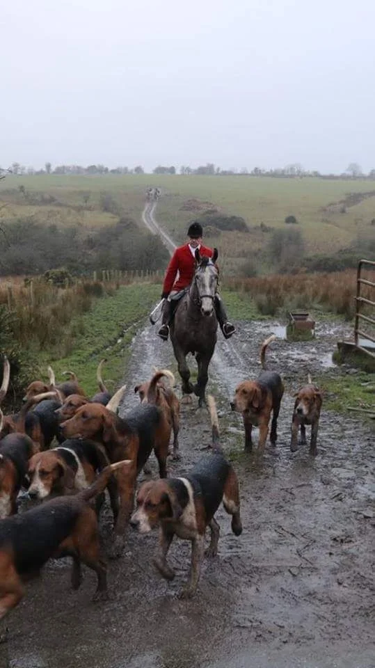 Mounted Fox Hunt