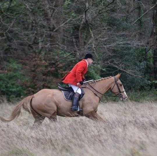 Mounted Fox Hunt