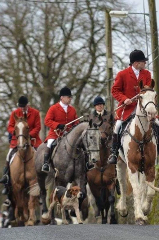 Mounted Fox Hunt