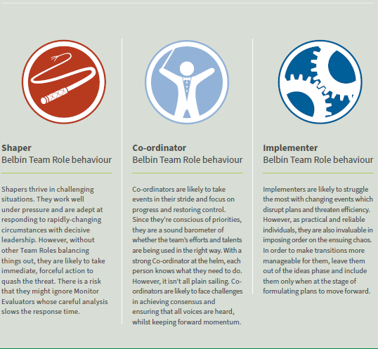BELBIN TEAM ROLES IN A CRISIS — Smartt Strategies
