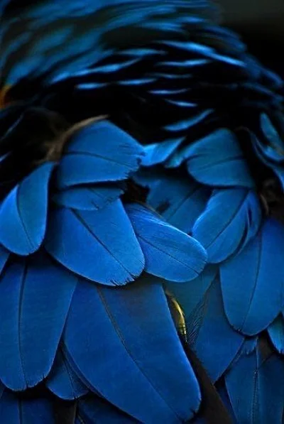 Colour of the month Blue - March — Suna & Toast - suna & toast