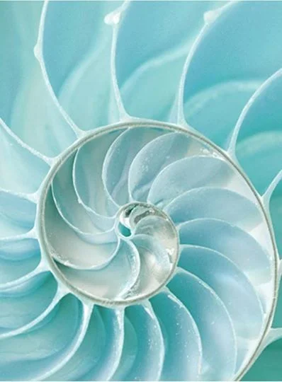 Colour of the month Turquoise - May — Suna & Toast - suna & toast