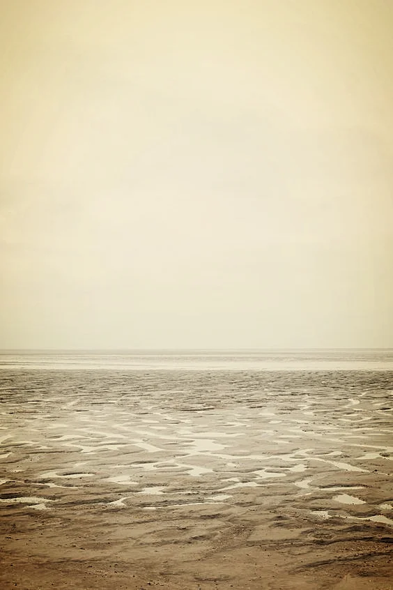 Colour of the month Sand - July 2018 — Suna & Toast - suna & toast