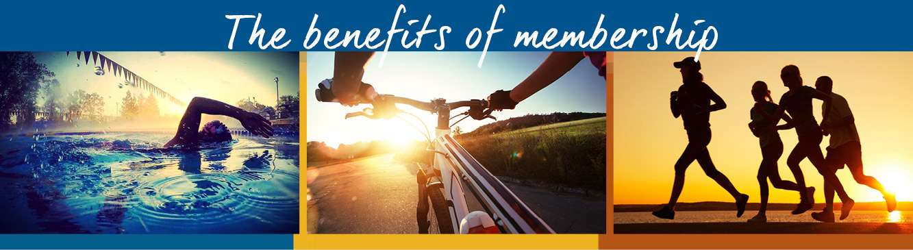 Monthly Chiropractic Membership in Austin | Synergy Chiropractic & Bodywork