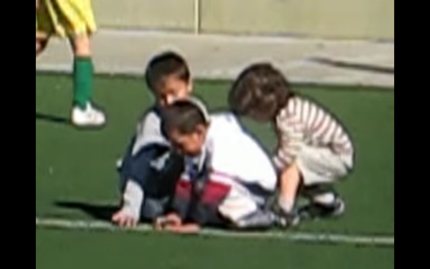 Toxicity/Carcinogens — Safe Healthy Playing Fields Inc