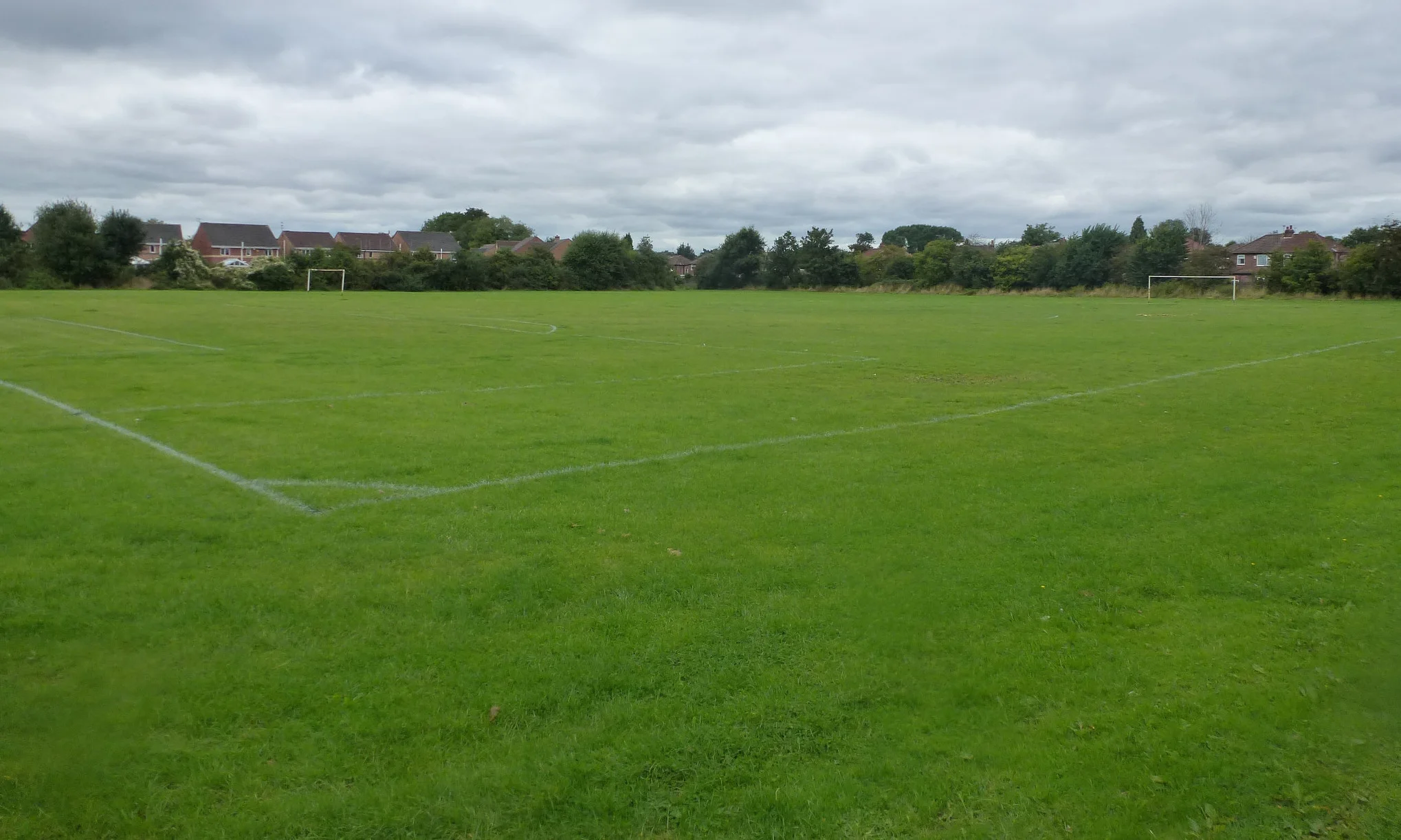 Safe Healthy Playing Fields Inc