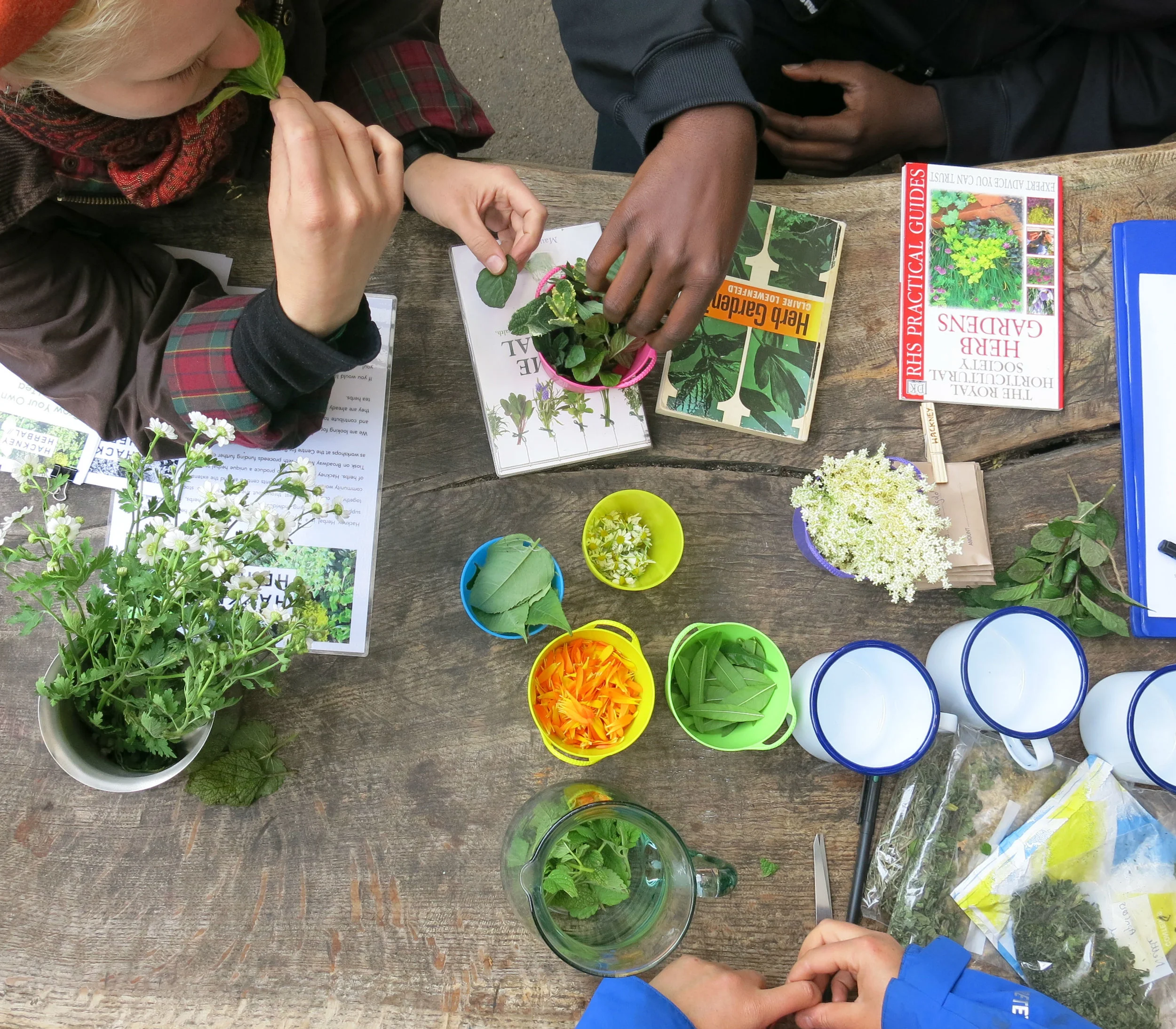 Our Story — Hackney Herbal