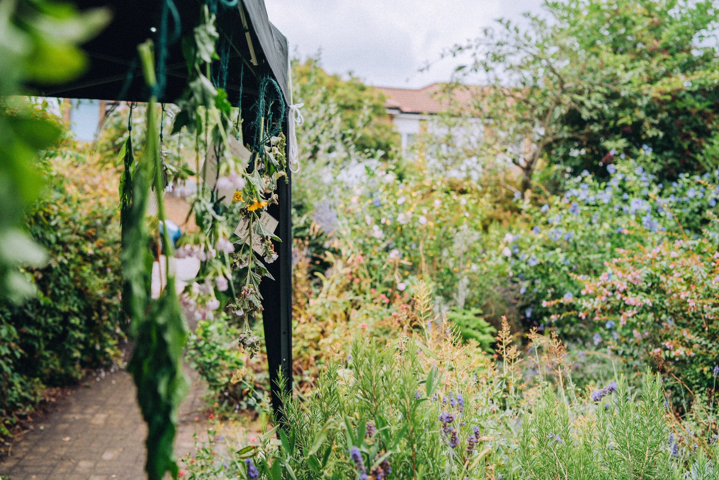 Events — Hackney Herbal