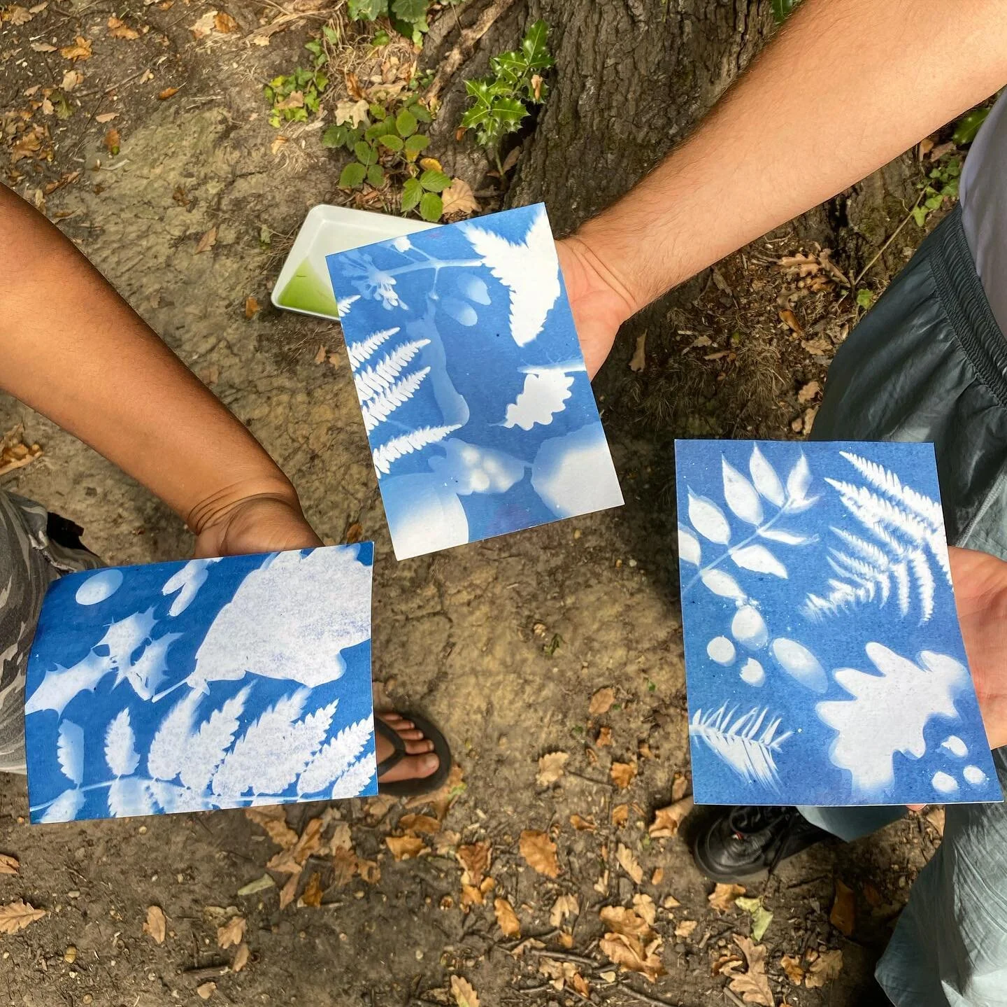 A Trip to the Marshes as Nature Shifts into Late Spring — Hackney Herbal