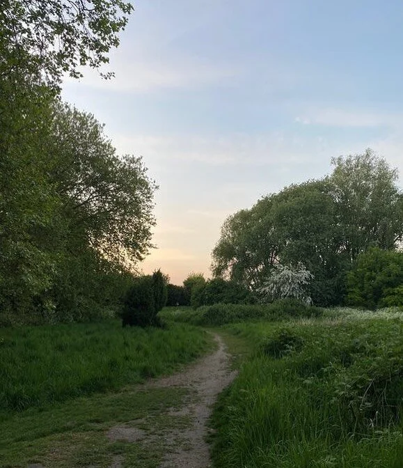 Introduction to Permaculture: Video Series — Hackney Herbal
