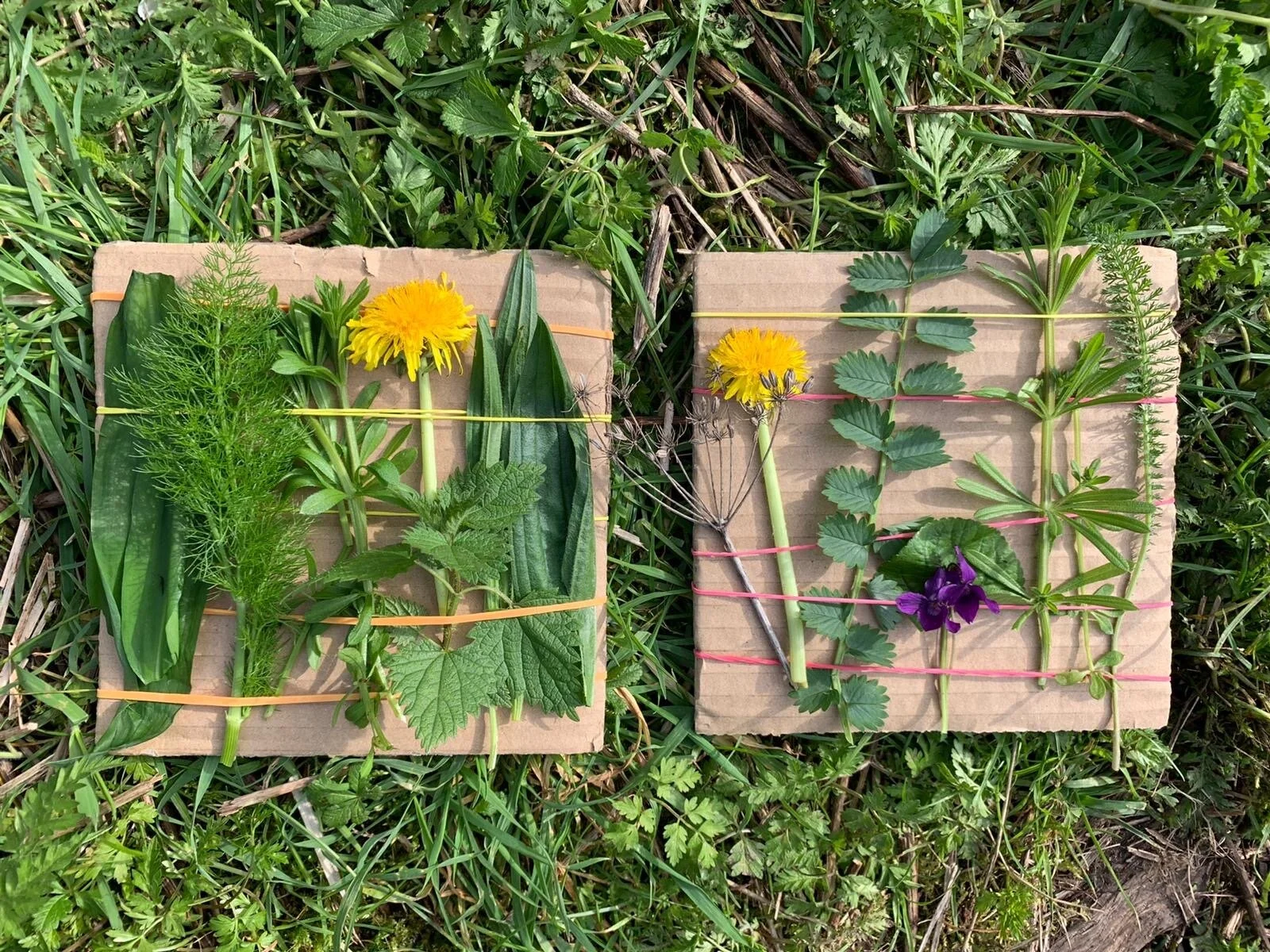 Events — Hackney Herbal