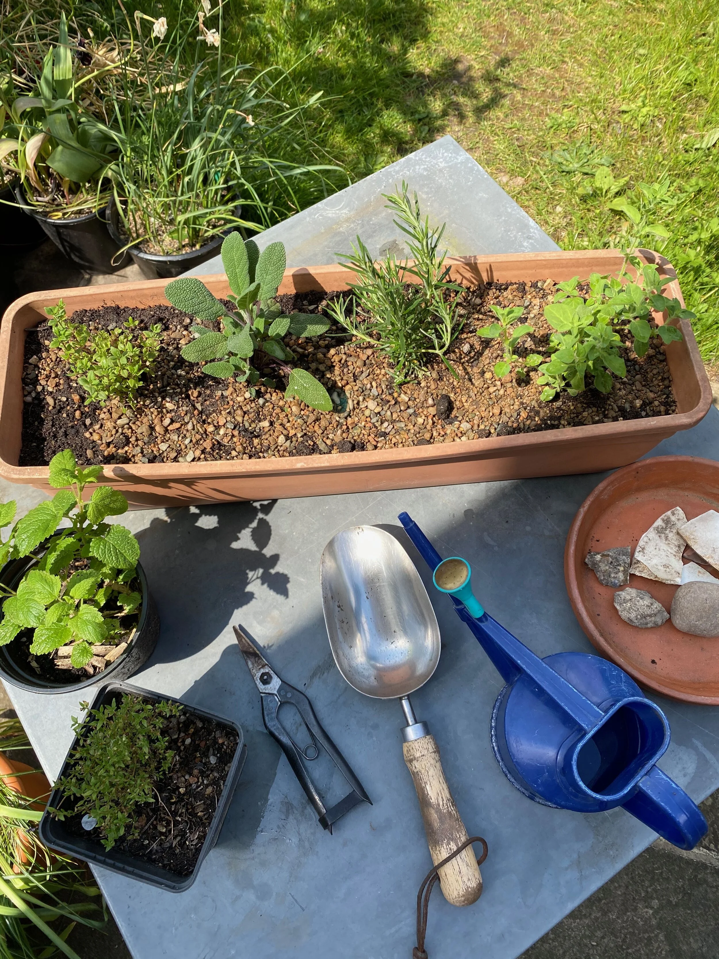 Workshops — Hackney Herbal