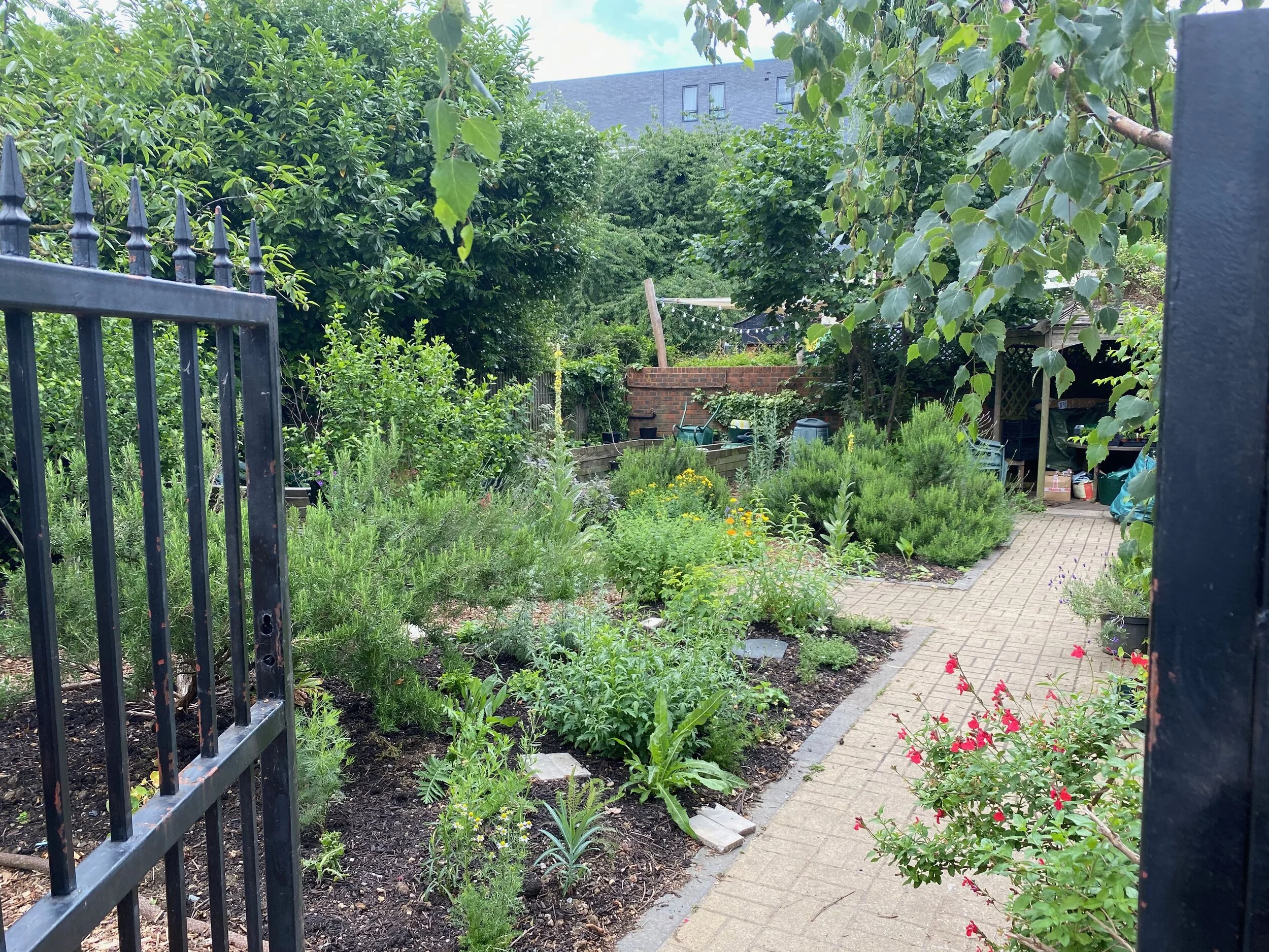 Our Gardens — Hackney Herbal
