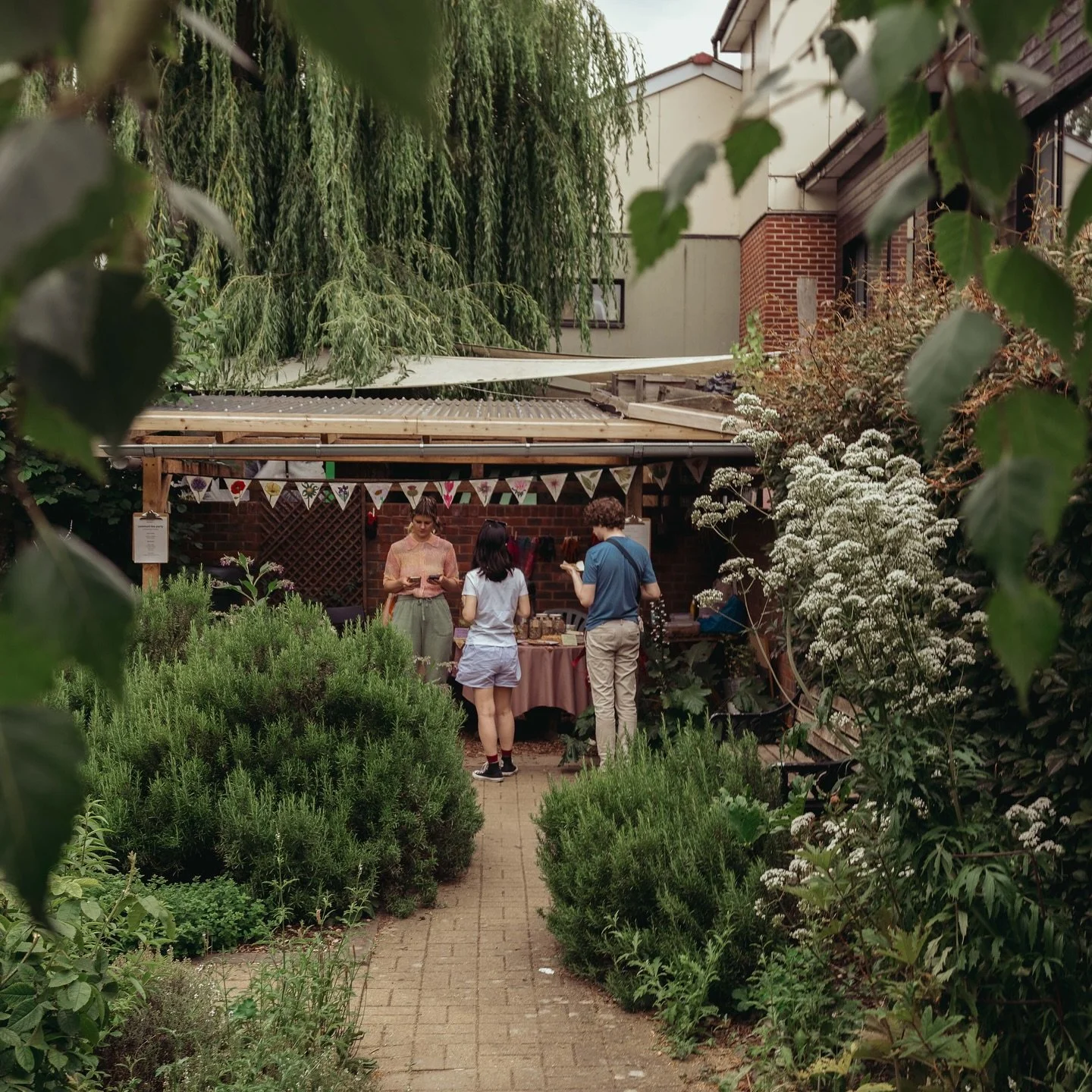 Virtual Herb Walk // Late June — Hackney Herbal