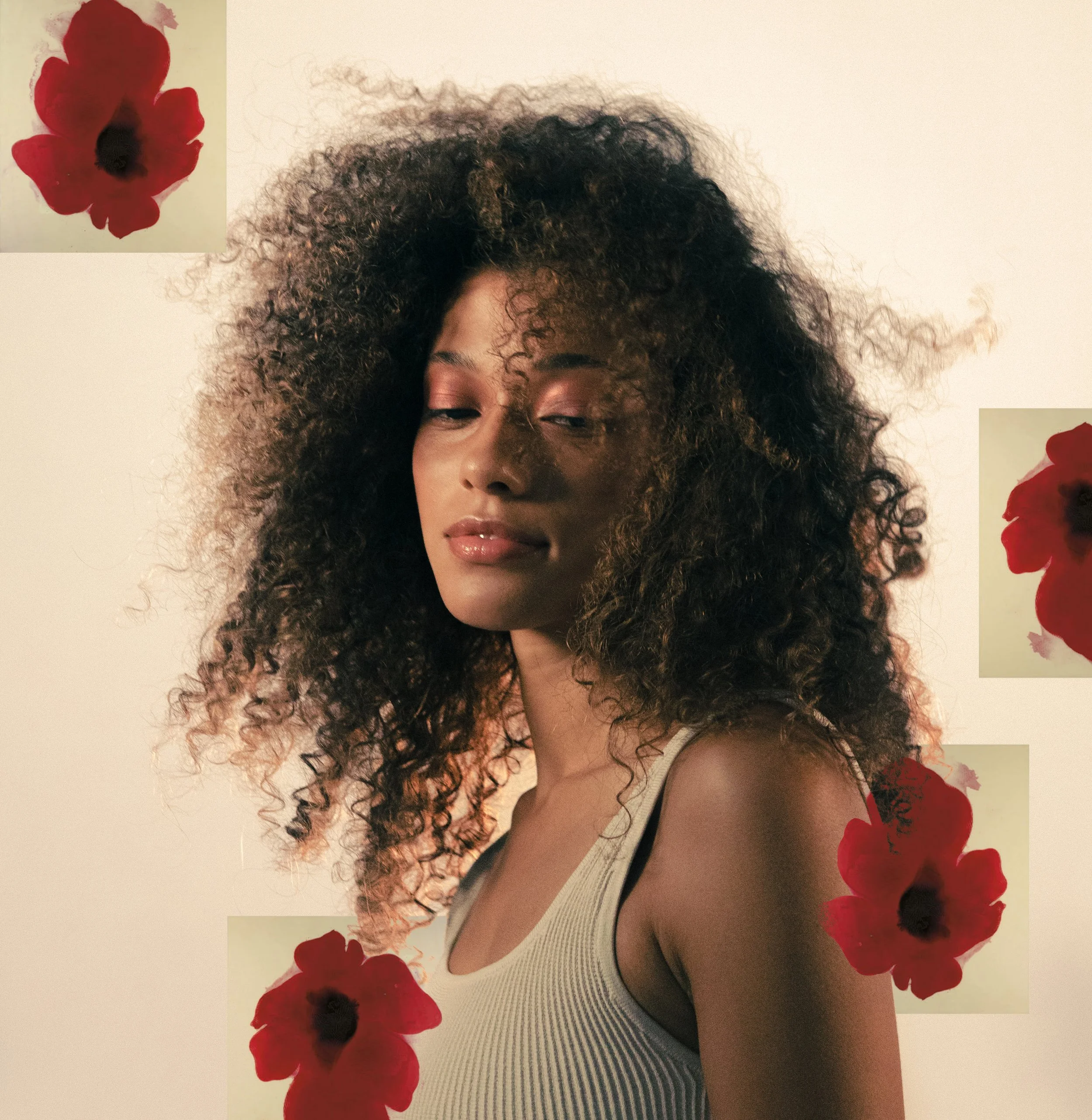 Portfolio — Aly Kula