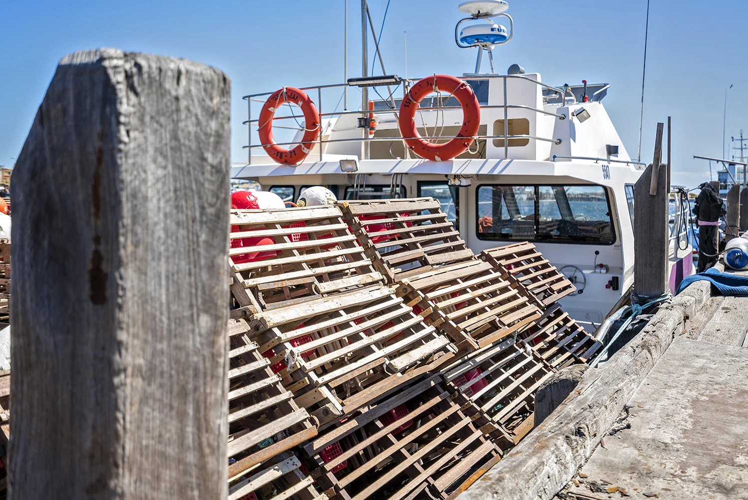 Gallery — Crest Anodes