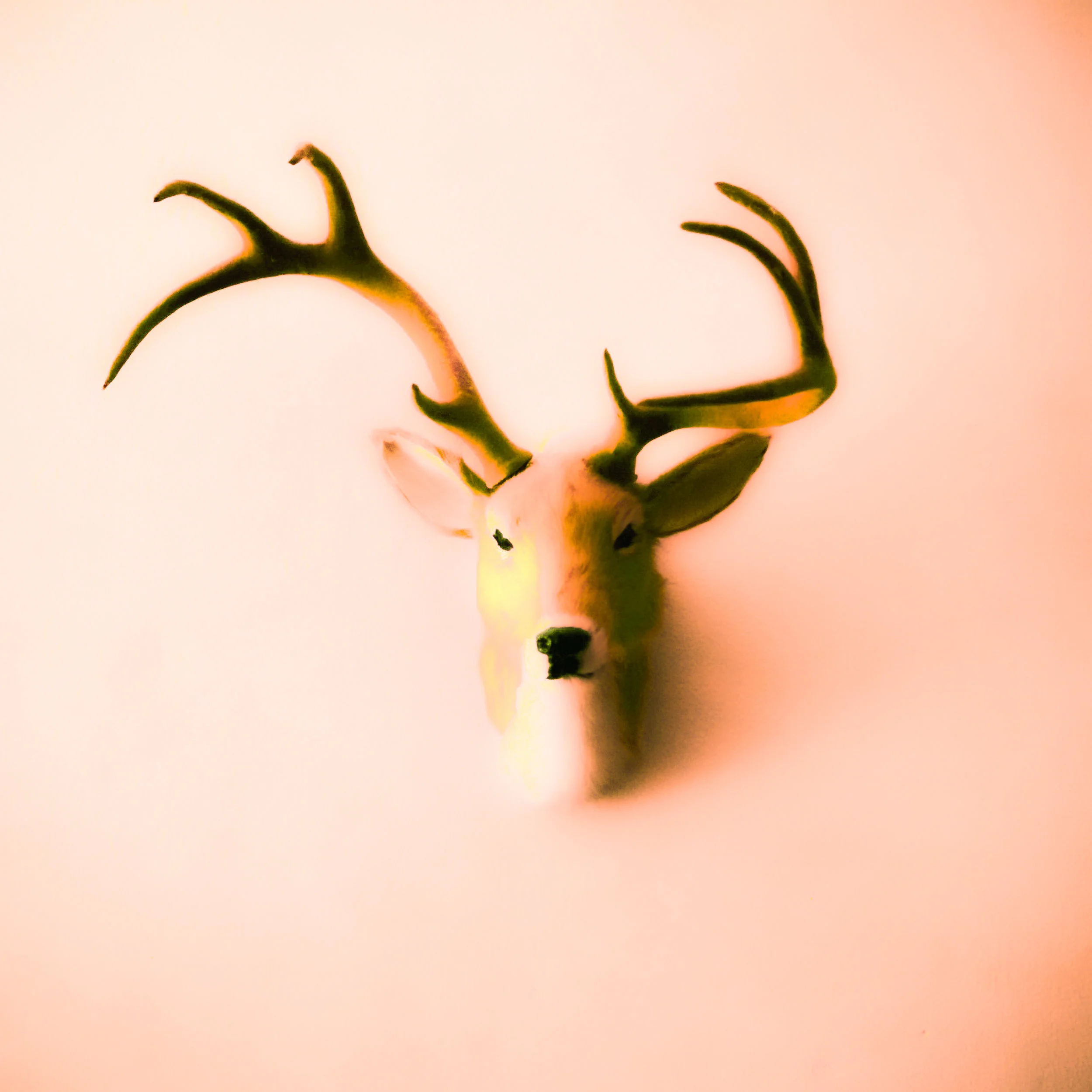 Danger Deer Studios