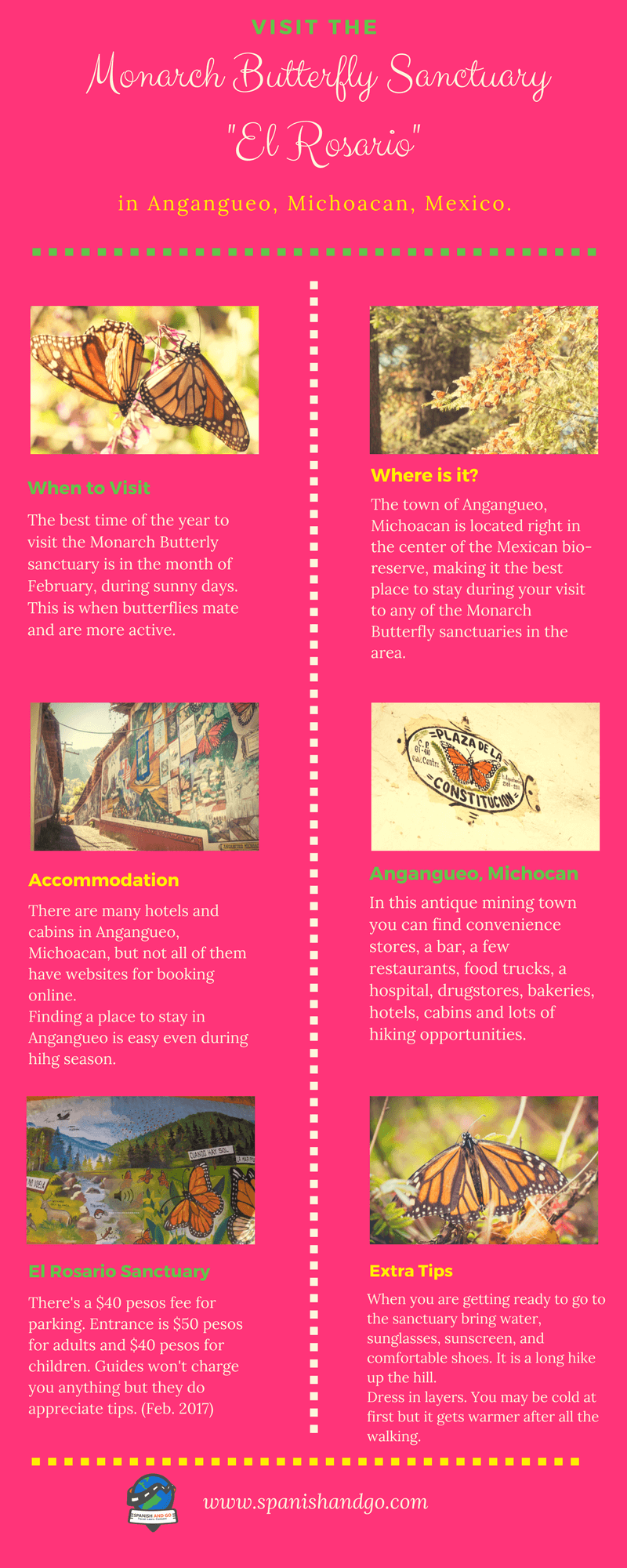 Video: Monarch Butterflies in Michoacan - Spanish and Go